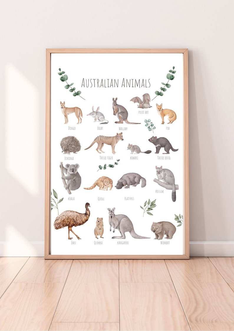 Australian Animals Poster A3 a Beautiful Selection of - Etsy