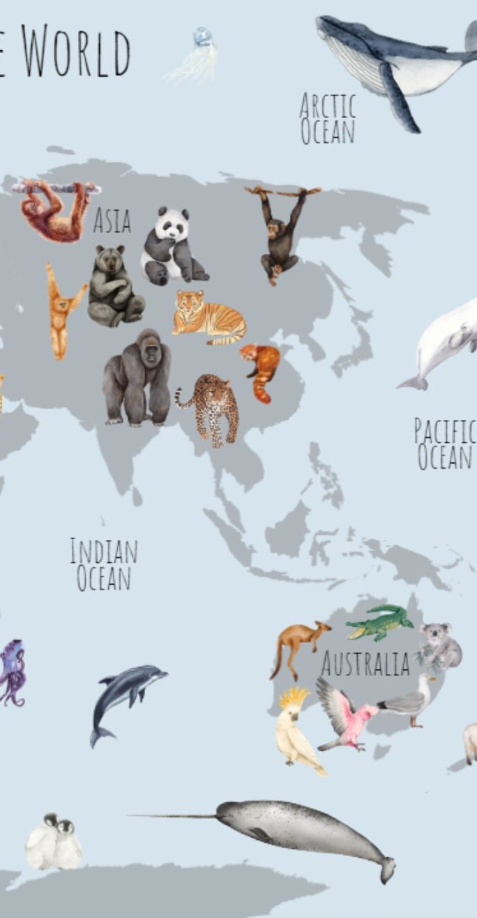 Animal World Map Print, Educational A3 Poster (digital Download) - Etsy