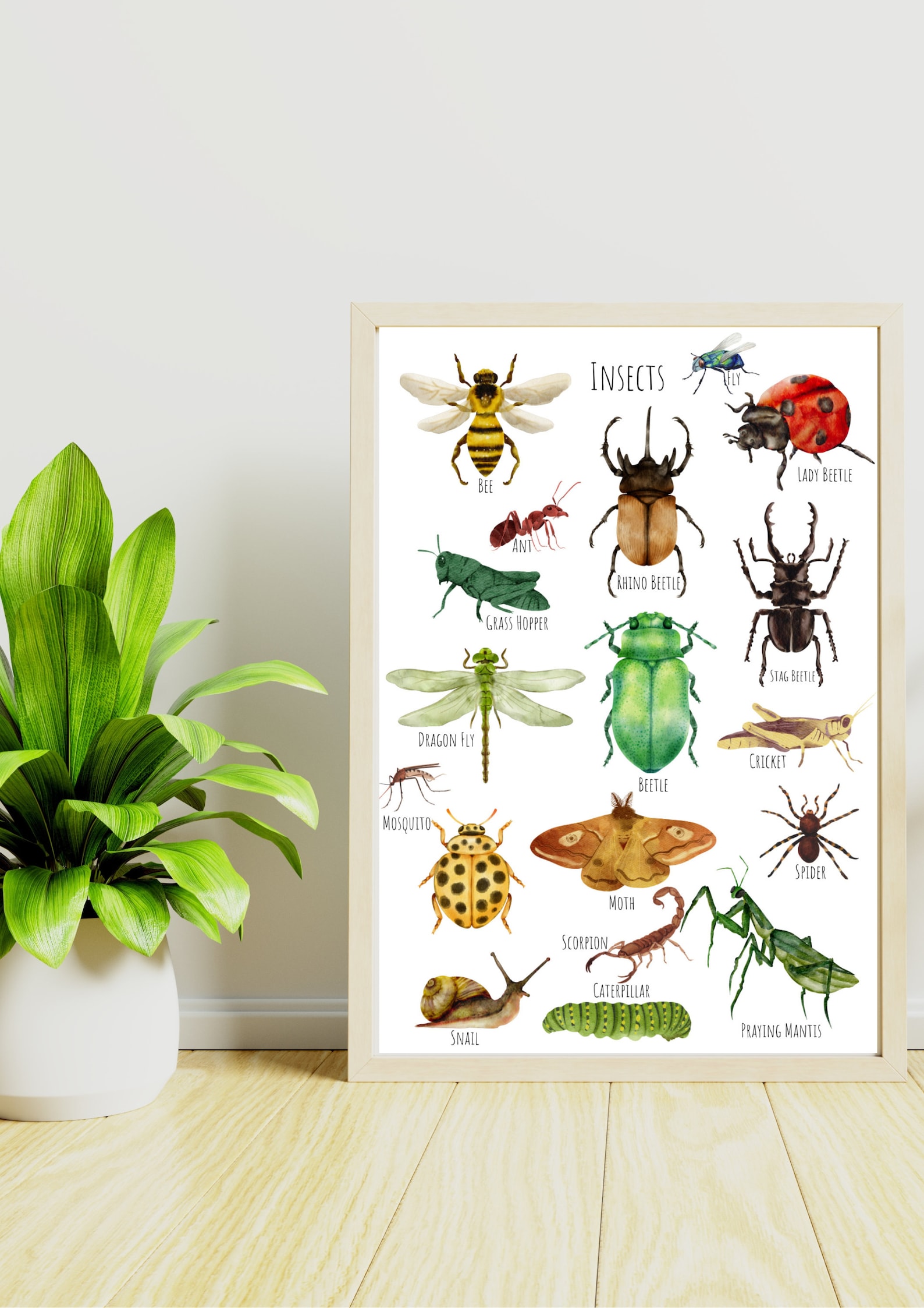 Insects Bugs A3 Poster a Beautiful Selection of Gorgeous - Etsy