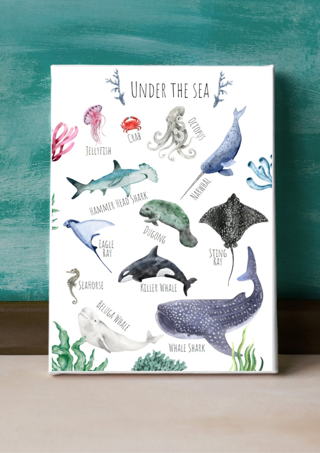 Pôster de Animais Marinhos A3, Impressão de Arte da Vida Marinha ...