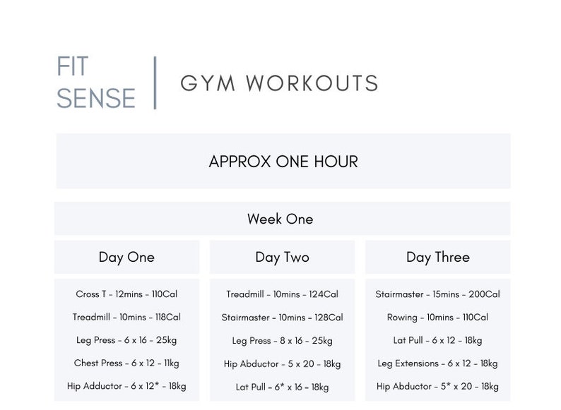 Fitsense Beginners Guide - Etsy
