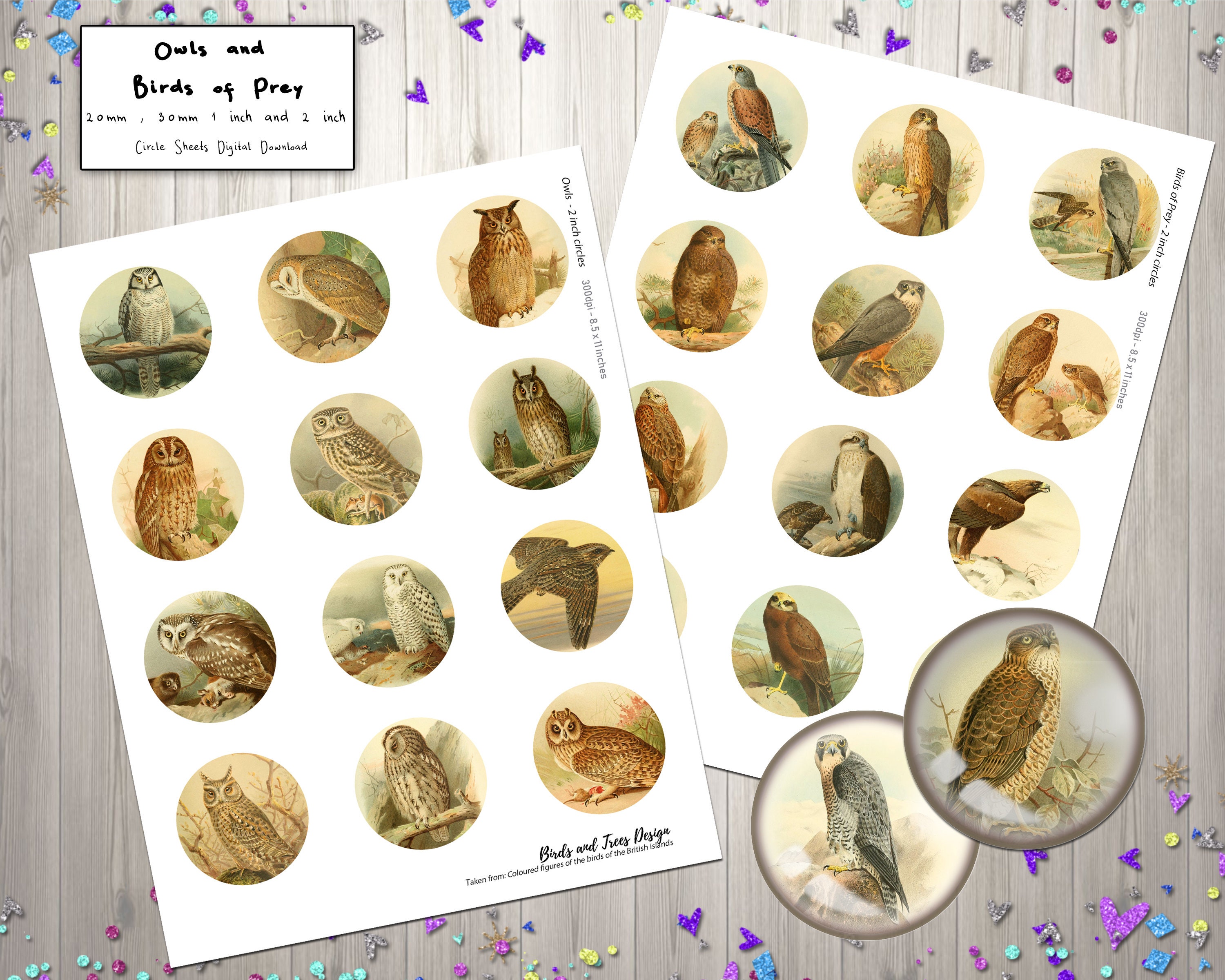 1 inch 2 inch 30mm 20mm Nature Junk Journal squares British Birds ...