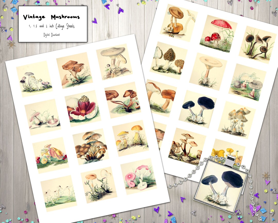 Toadstools And Fungi Printable Collage Sheet 1 1 5 And 2 Etsy