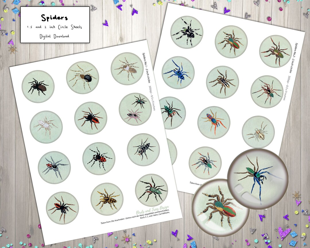 This item is unavailable - Etsy