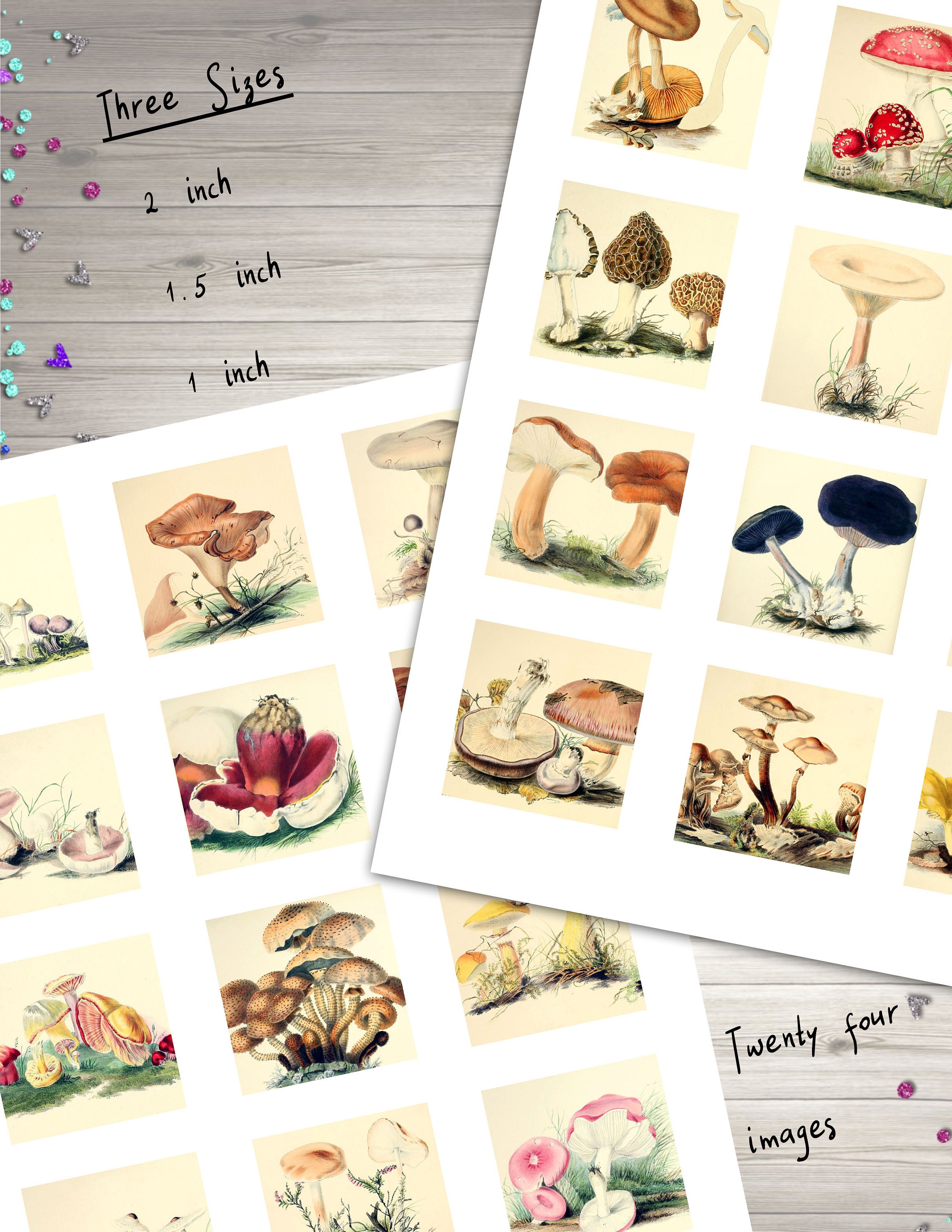 Toadstools and Fungi Printable Collage Sheet 1 1.5 and 2 - Etsy