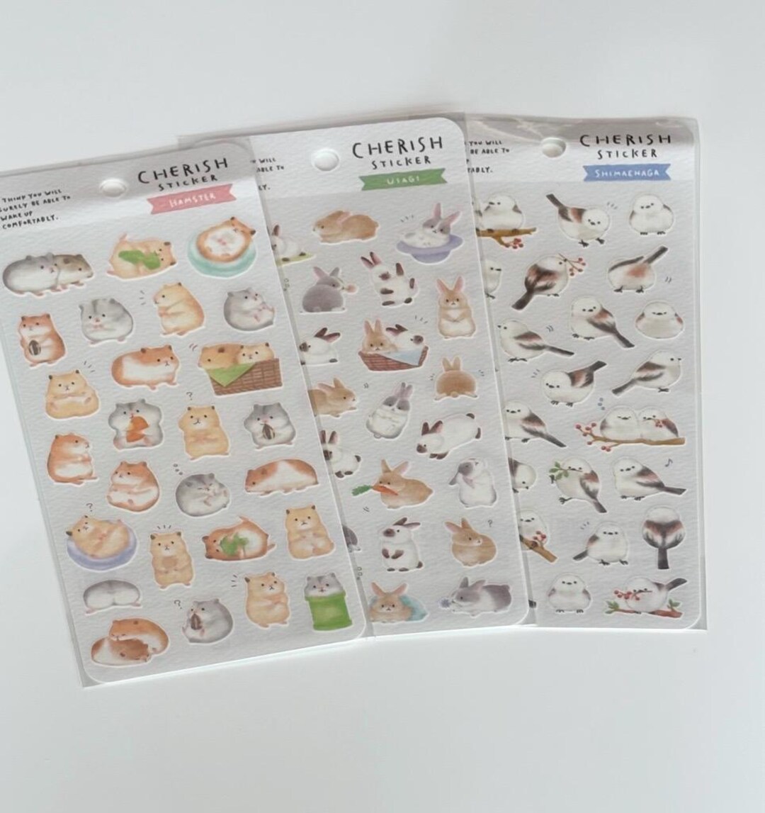 C98.5 Cherish Sticker Sheet - Etsy
