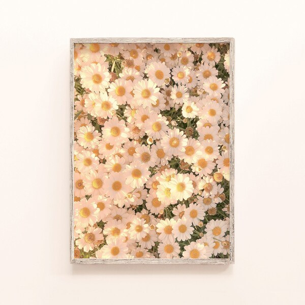Daisy Print - Etsy