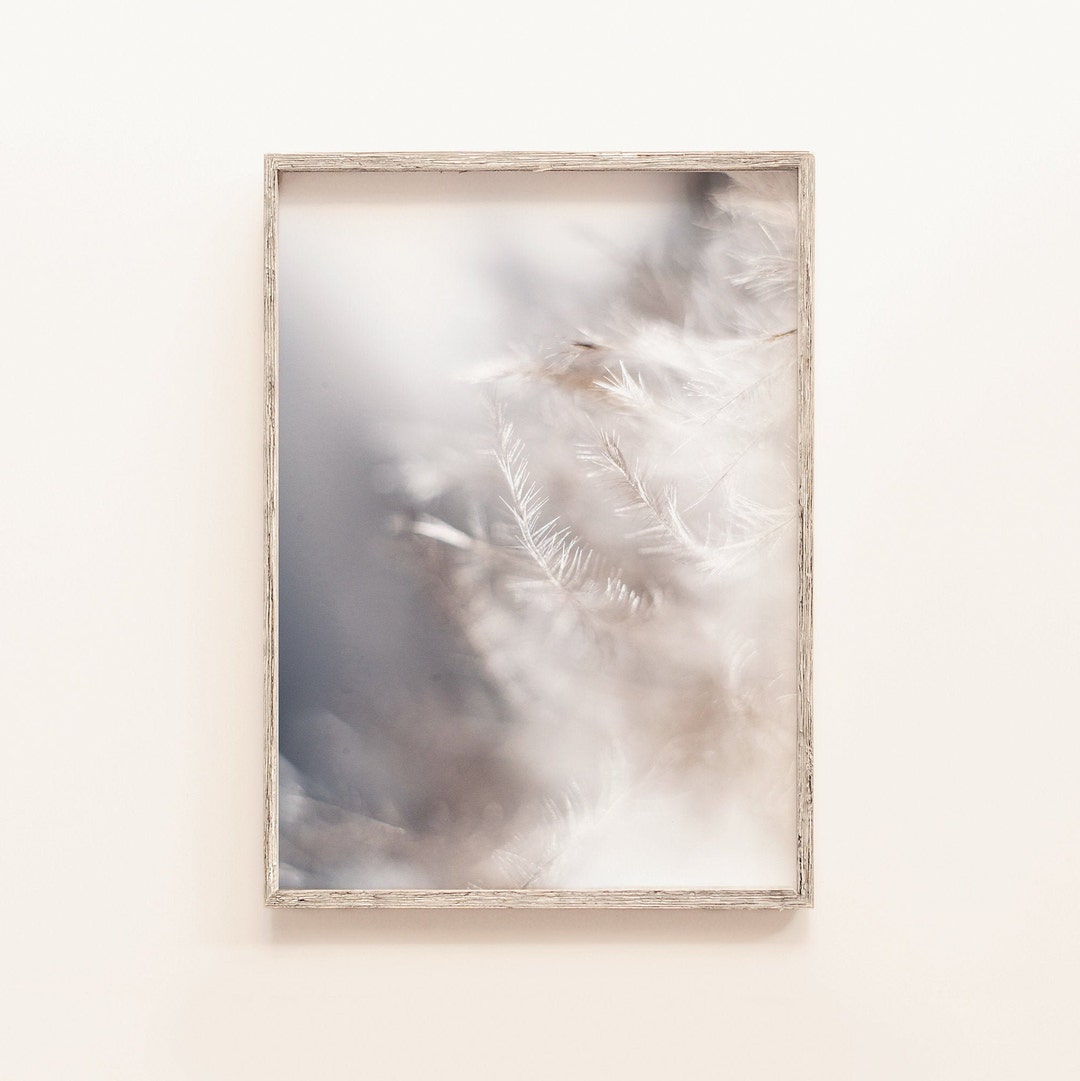 Calm Calmness Light Grey Feather Print Wall Art Prints - Etsy Canada
