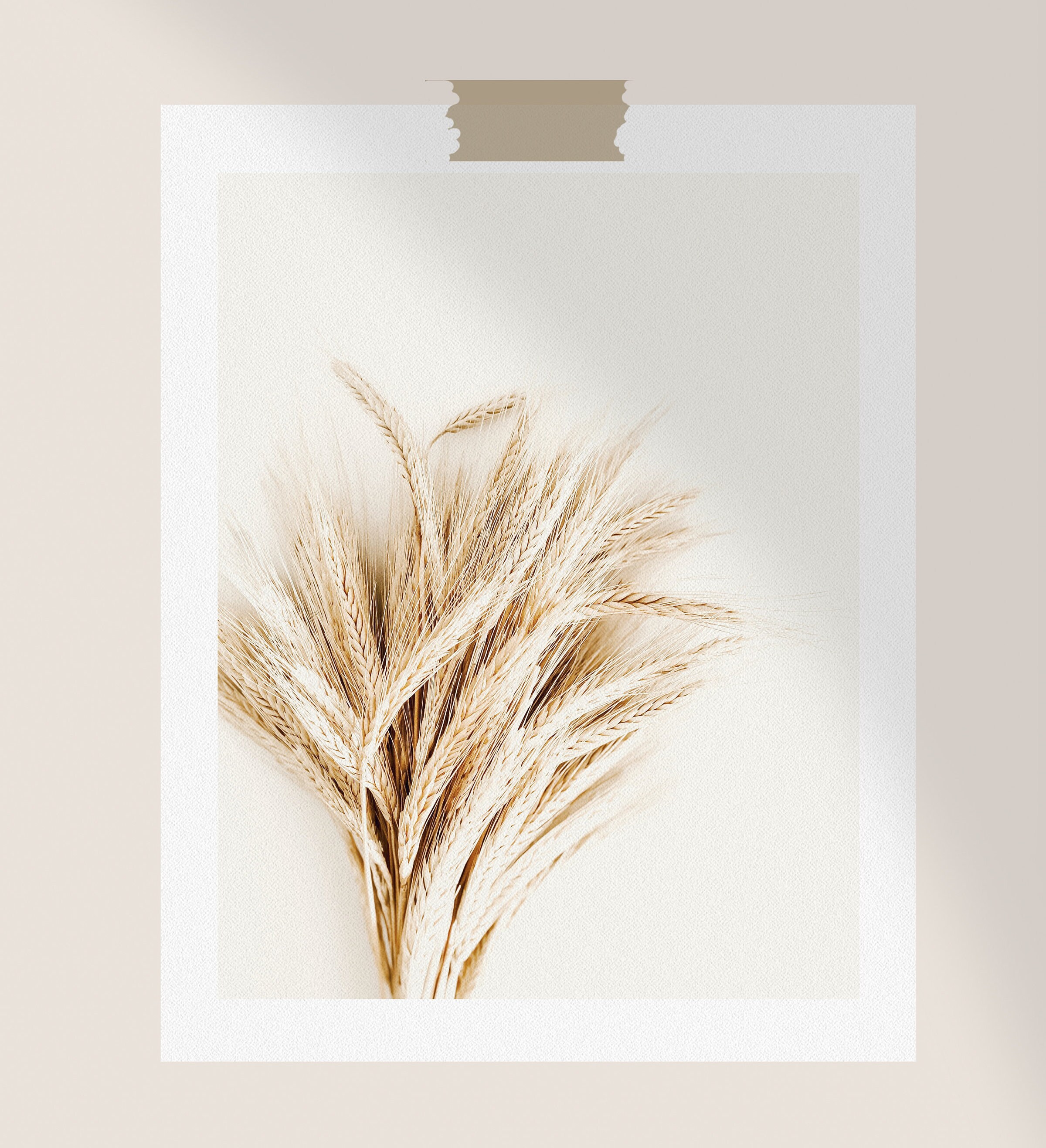 Neutral Print Photography Prints Neutral Wall Art Nature | Etsy