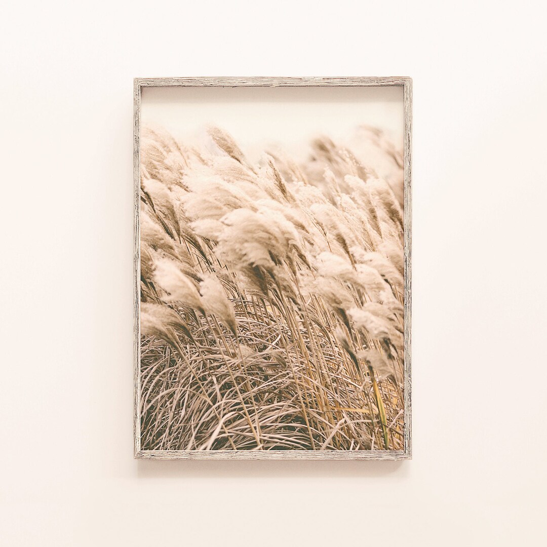 Dried Grass Pampas Grass Print Downloadable Prints Nature - Etsy