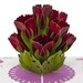 Paper Love Pop-up Tulip Bouquet Pop up Card, 3D Popup Greeting Card ...