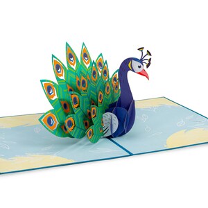 Paper Love Peacock 3D Pop up Card, for Birthday, Get Well, Thank You ...
