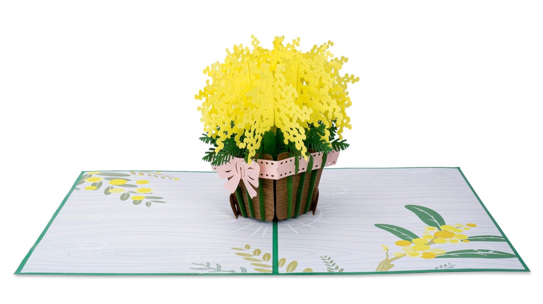 Paper Love Mimosa 3D Pop up Card, for Birthday, Get Well, Thank You ...