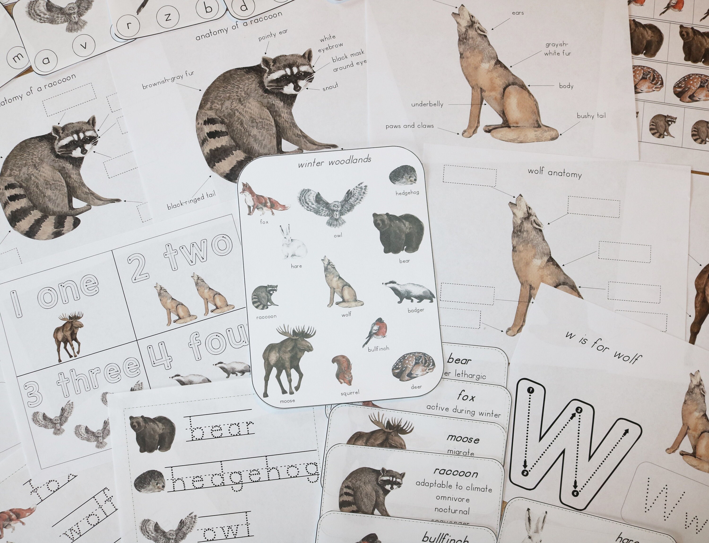 Winter Woodlands Early Learning Set - Etsy