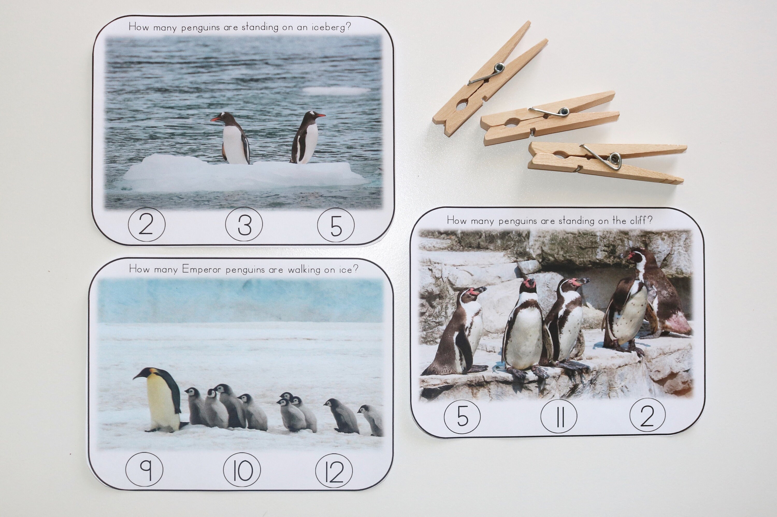 How Many Penguins Count and Clip It Cards - Etsy