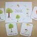 Oak Tree Life Cycle (spanish) Pack - Etsy