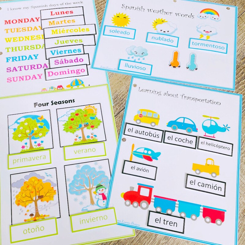 Spanish Homeschool - Etsy