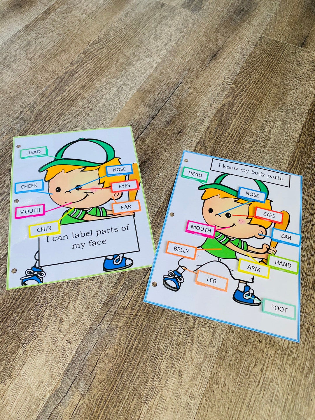 Anatomy Matching Game, Preschool Anatomy Science Game, Homeschool ...