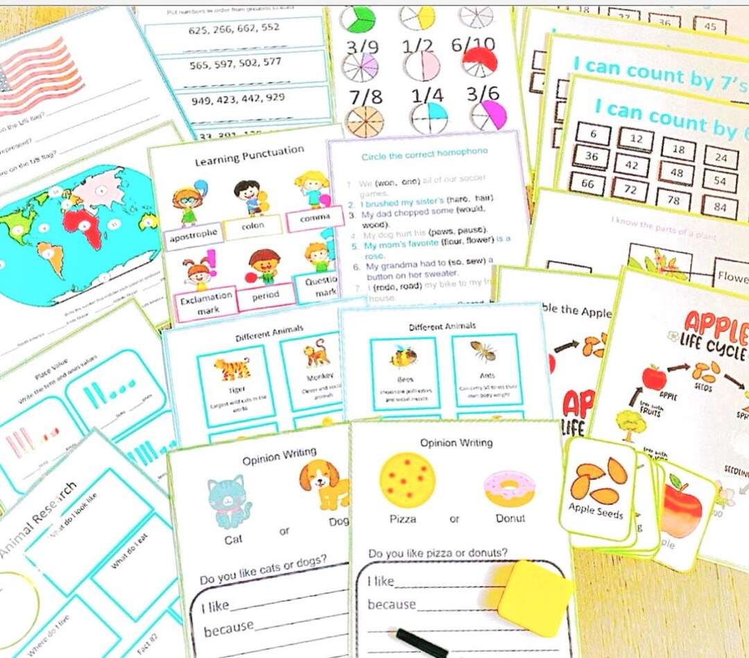 Third Grade Learning Binder, Third Grade Curriculum, Third Grade Busy ...