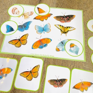 Nature Matching Game, Montessori Learning - Etsy