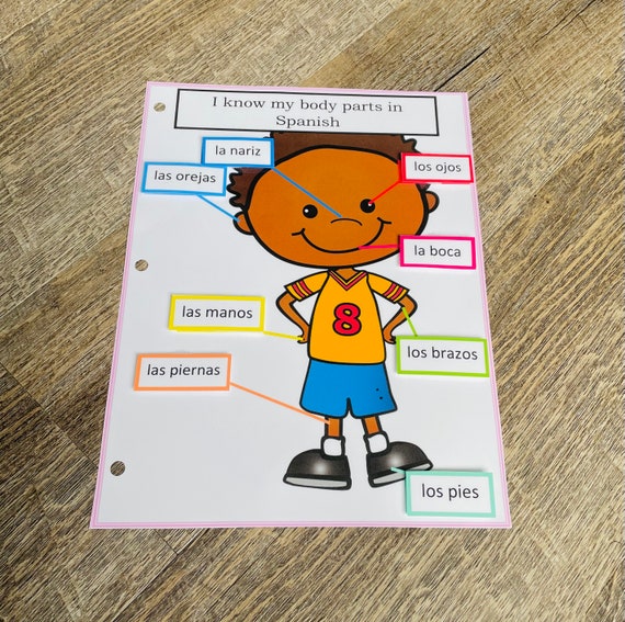 Parts Of The Body In Spanish Diagram