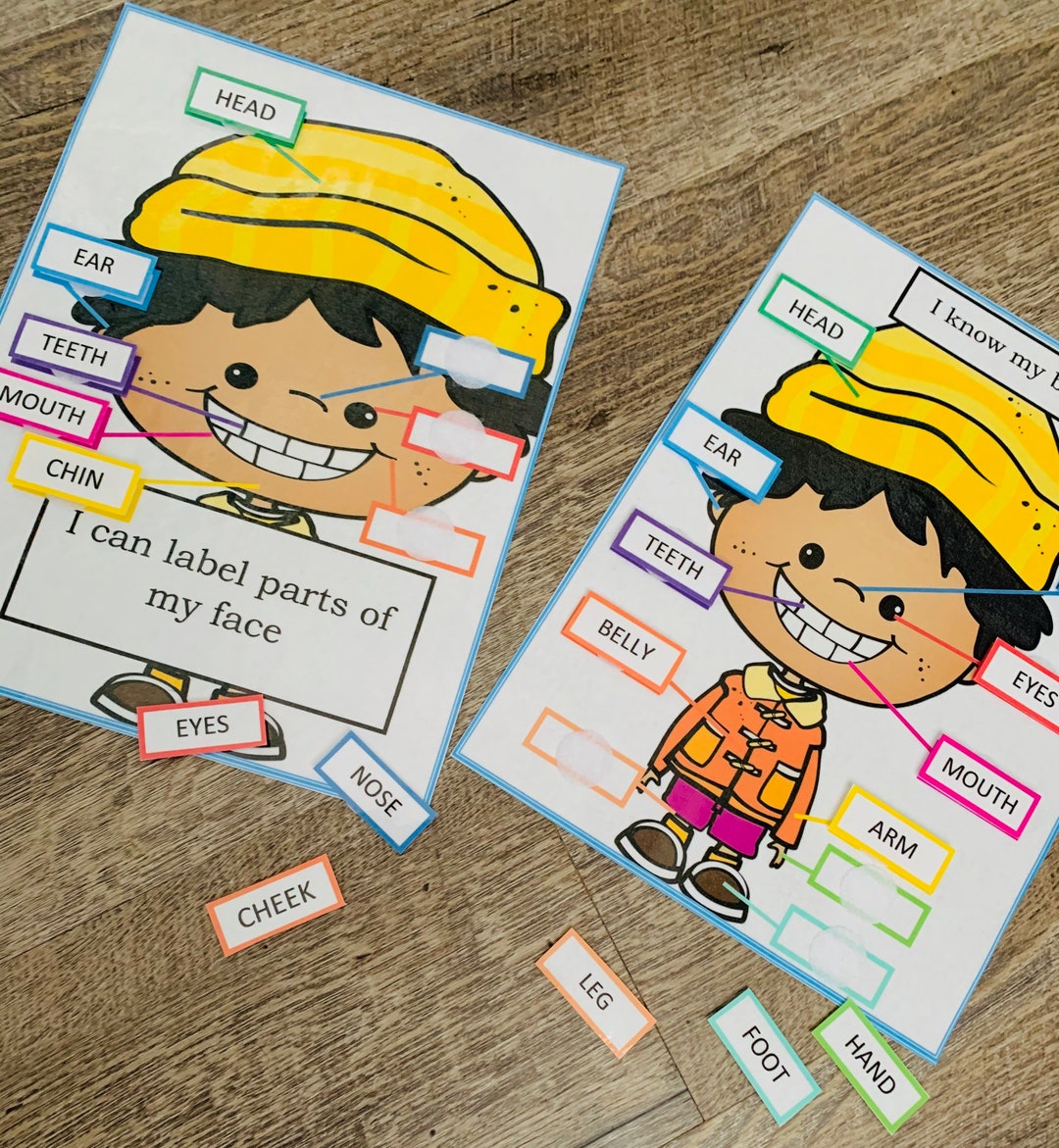 Buy Anatomy Matching Game, Preschool Anatomy Science Game, Homeschool ...