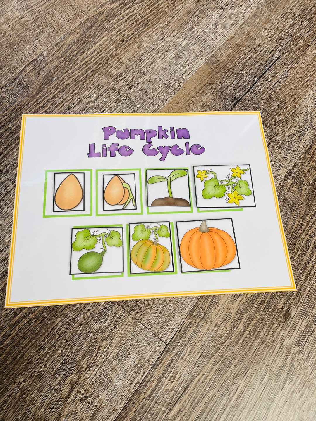 Pumpkin Life Cycle Game, Homeschool Science - Etsy