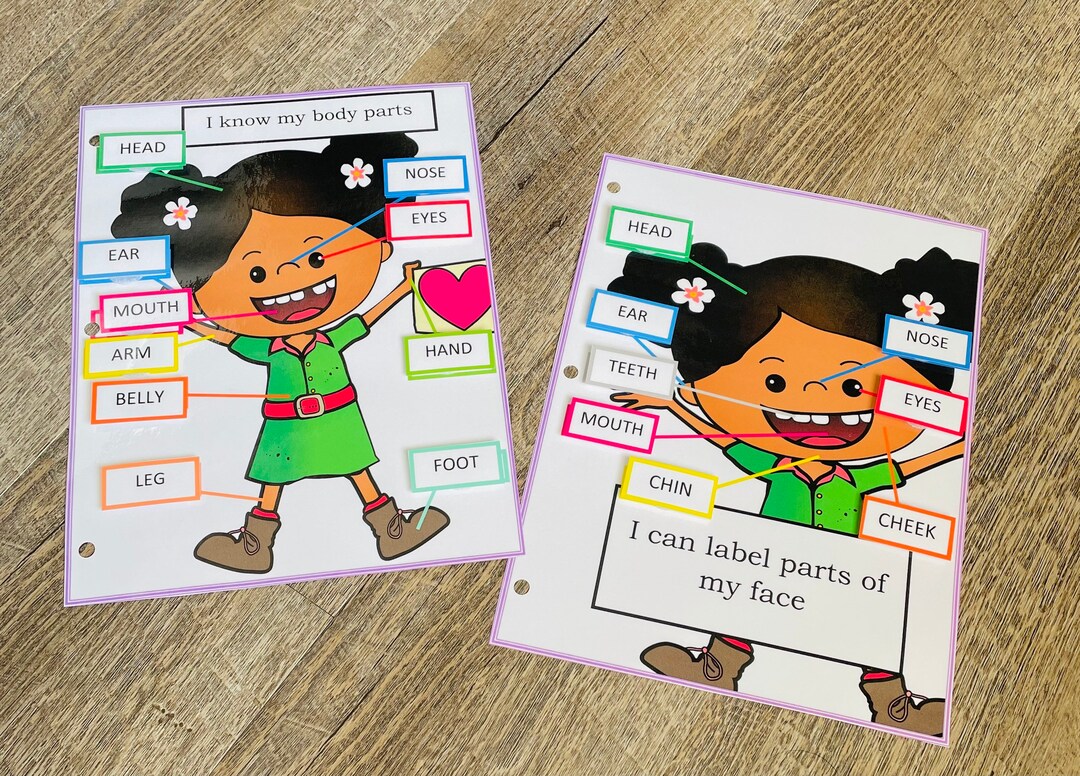 Anatomy Matching Game, Preschool Anatomy Science Game, Homeschool ...