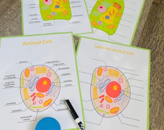 Animal Cell Game - Etsy