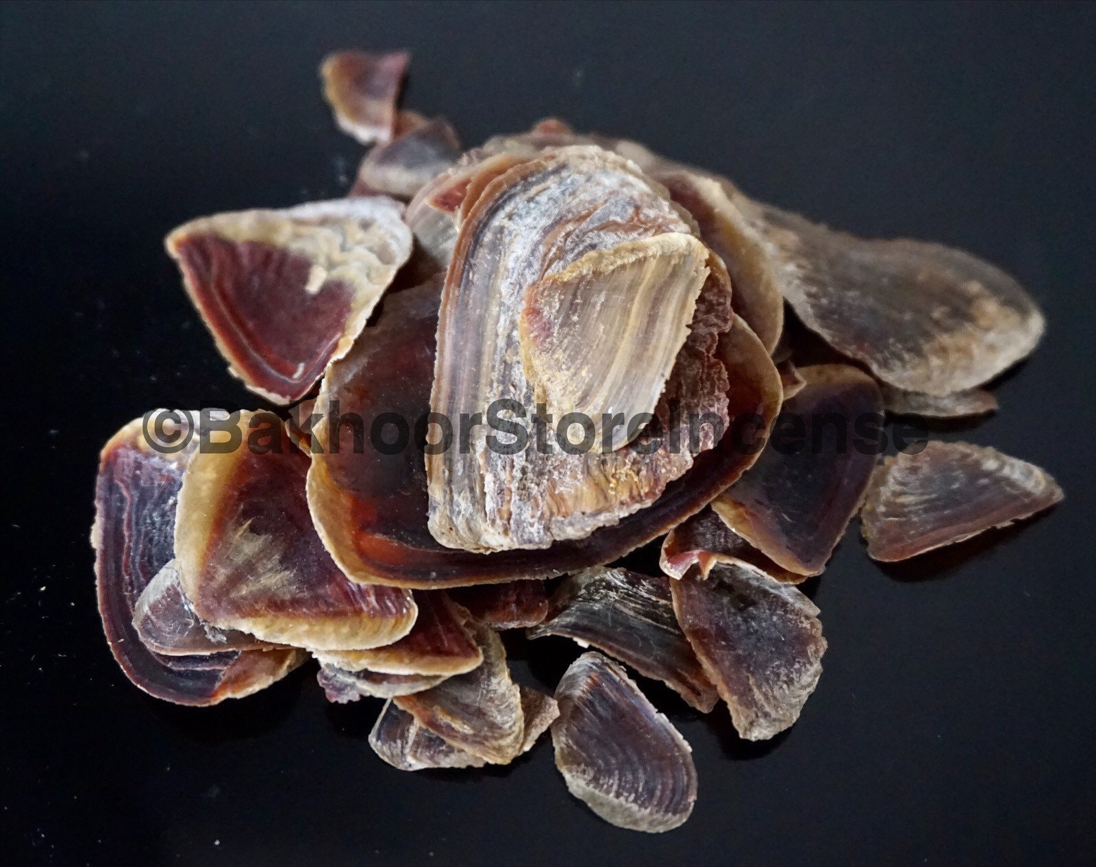 Onycha-operculum Thin A Traditional and Biblical Incense - Etsy