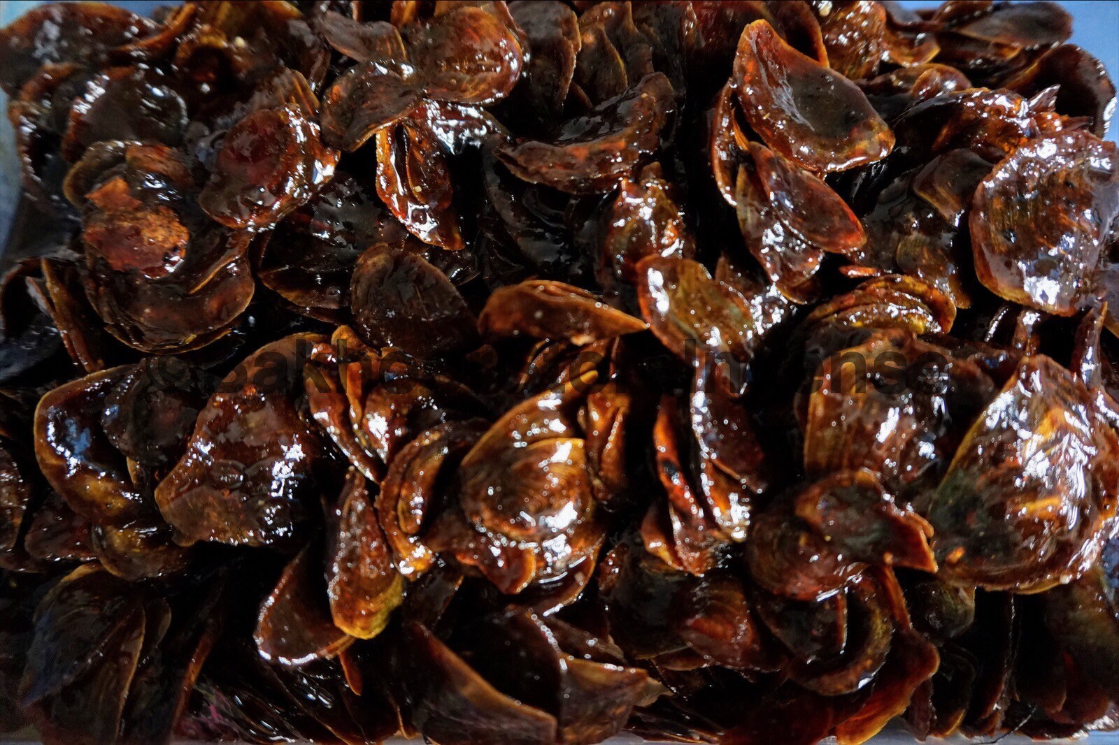 Bakhoor Incense Onycha Hygiene Incense Natural Incense - Etsy UK