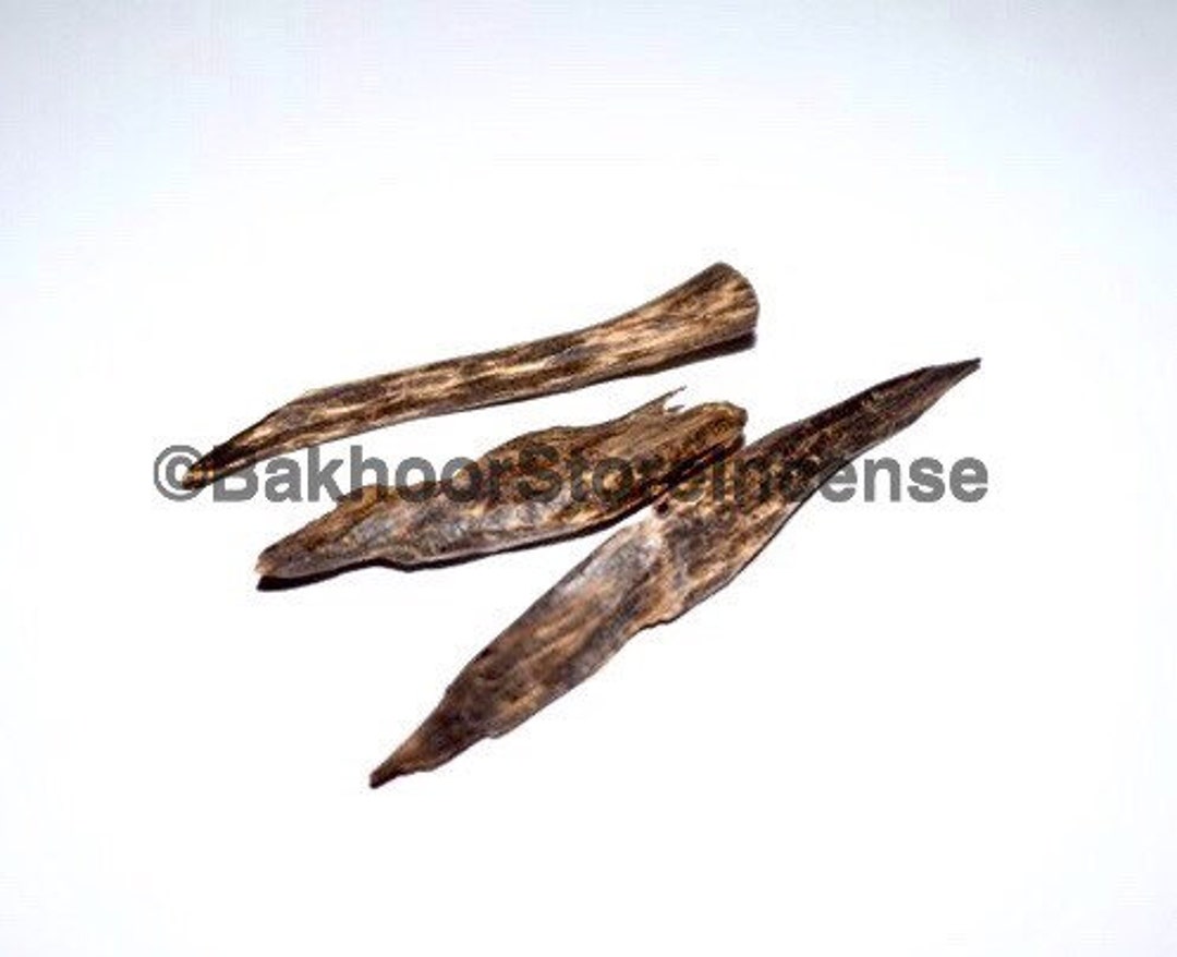 Kynam Brunei Sinking 2g - Wild Rare Agarwood - Etsy