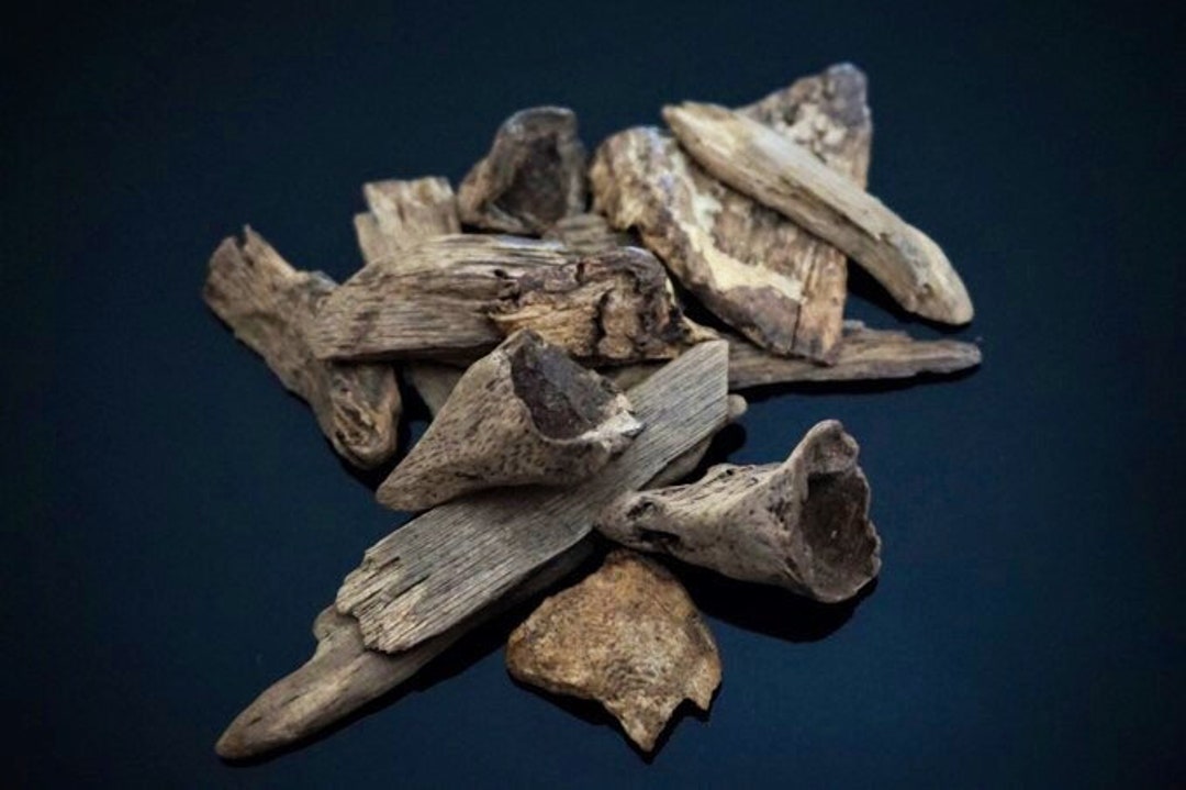 Agarwood Sri Lanka Walla Patta Wild Incense Aromatic Wood بخور - Etsy