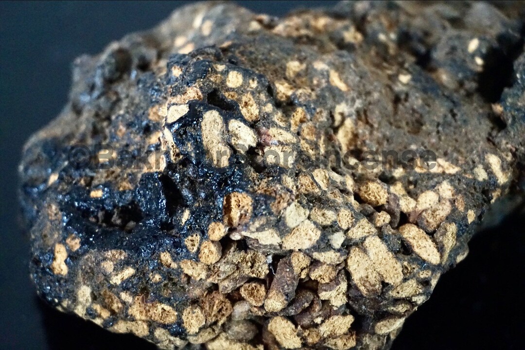 Hyraceum Musk Stone: Natural Perfume Ingredient - Etsy