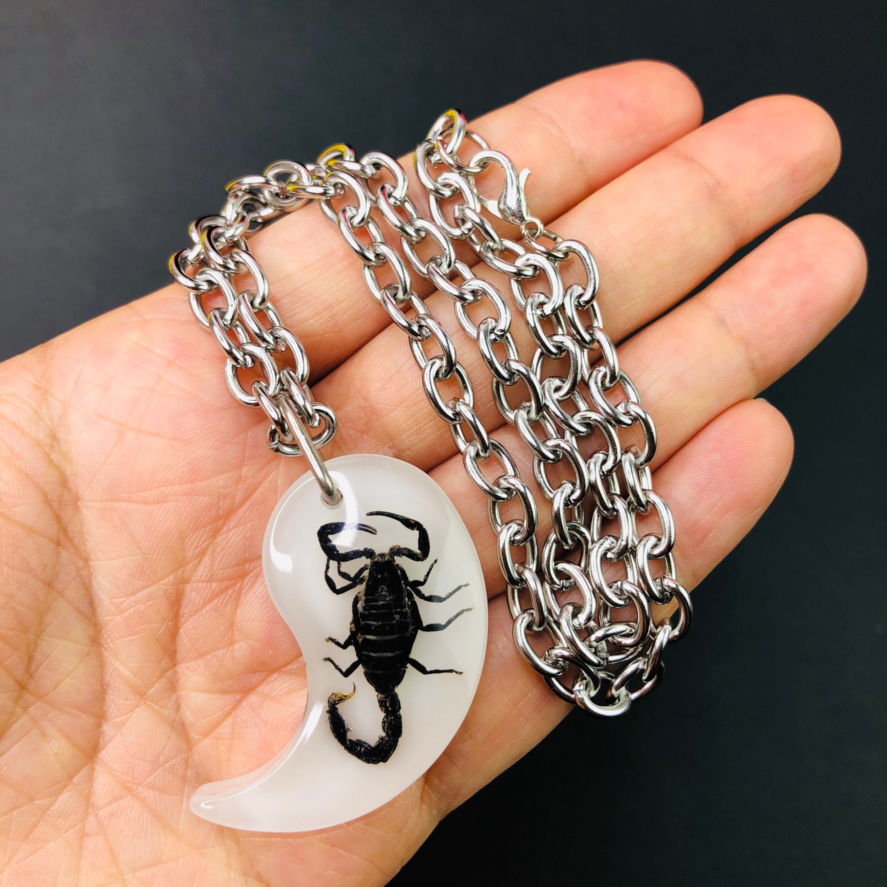 Yin Yang Necklace Real Scorpion Choker Punk Bug Insect Resin | Etsy