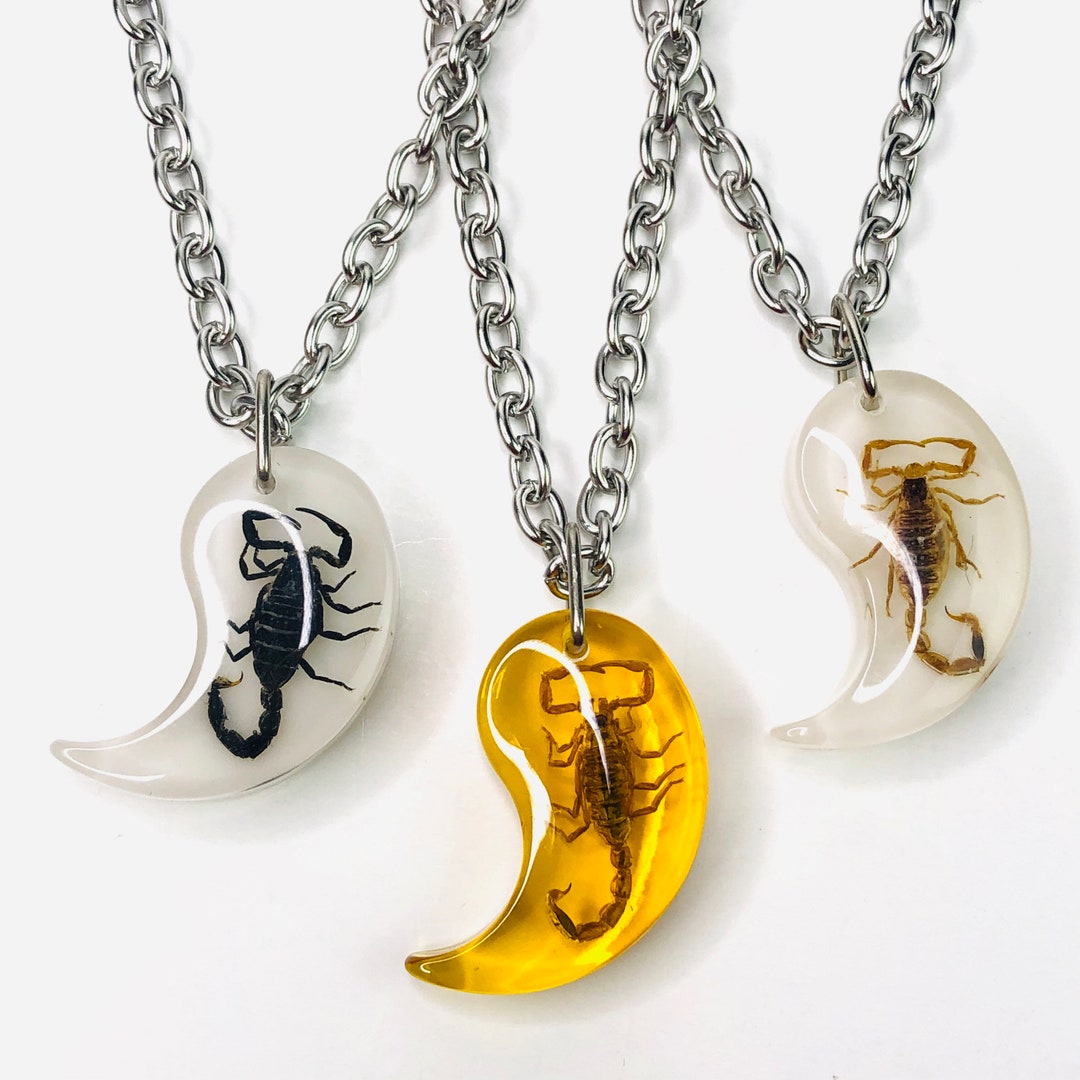 Yin Yang Necklace Real Scorpion Choker Punk Bug Insect Resin - Etsy