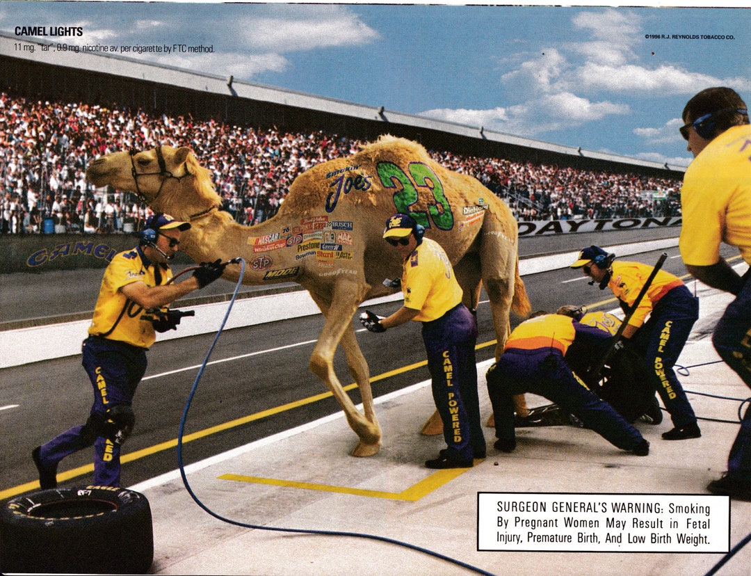1994 Camel-actual Camel Pit Stop Daytona Raceway-cigarette Original ...