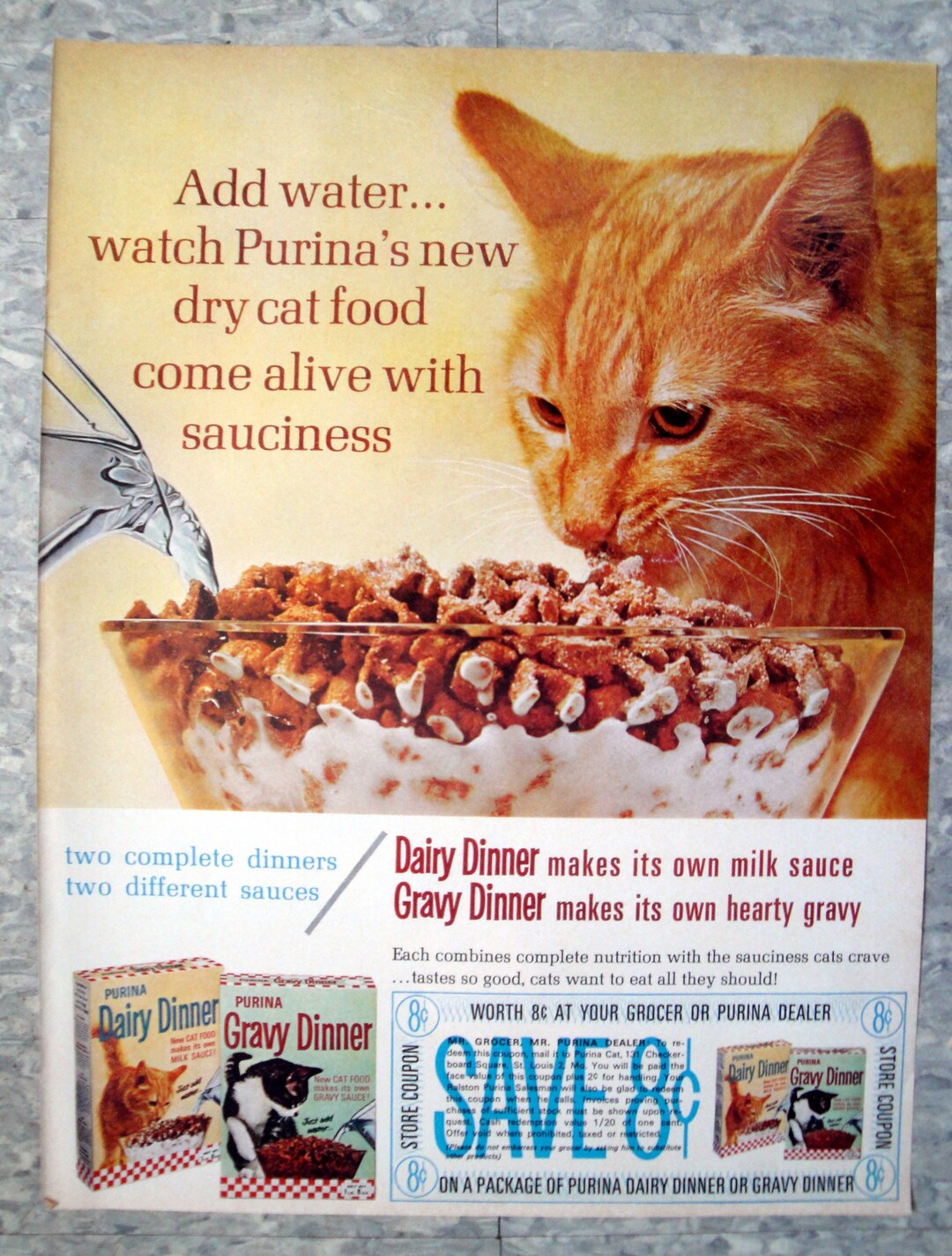 1964 Purina New Dry Cat Food Dairy + Gravy Dinner Original 13.5 * 10.5 ...