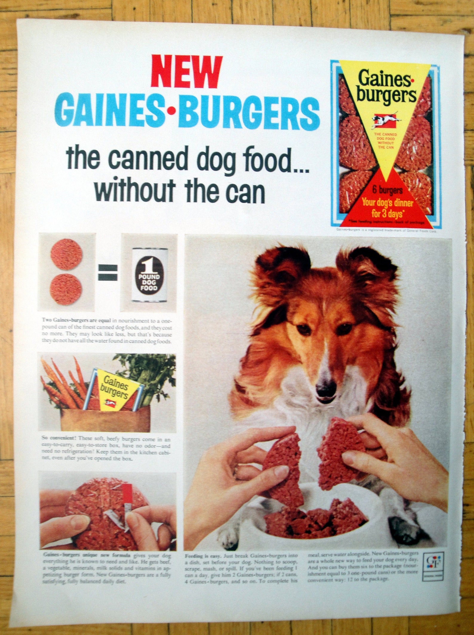 1964 Collie Dog New Gaines Burgers Dog Food Original 13.5 | Etsy