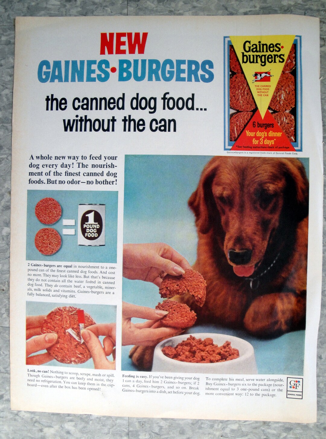 1964 Golden Retriever Gaines Burger Dog Food Original 13.5 * 10.5 ...