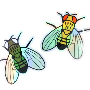 Fruit Fly Holo Stickers -- Drosophila Melanogaster – Set of 2 Vinyl ...