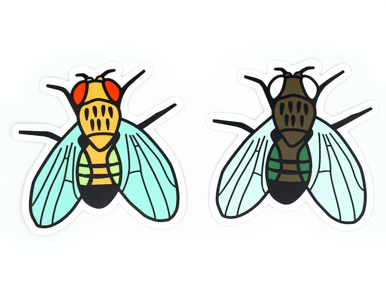 Fruit Fly Vinyl Stickers Drosophila melanogaster Set of 2 | Etsy