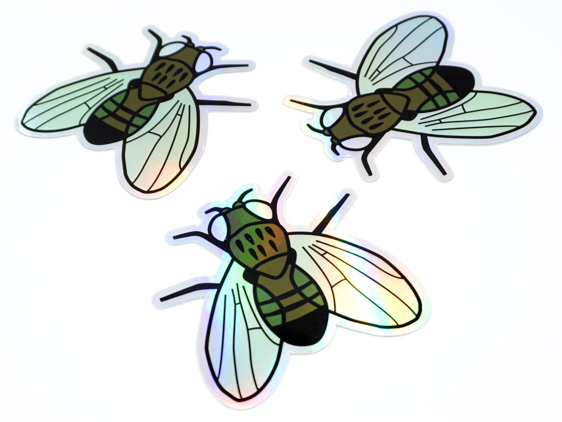 Fruit Fly Holo Sticker Ebony Drosophila Melanogaster - Etsy