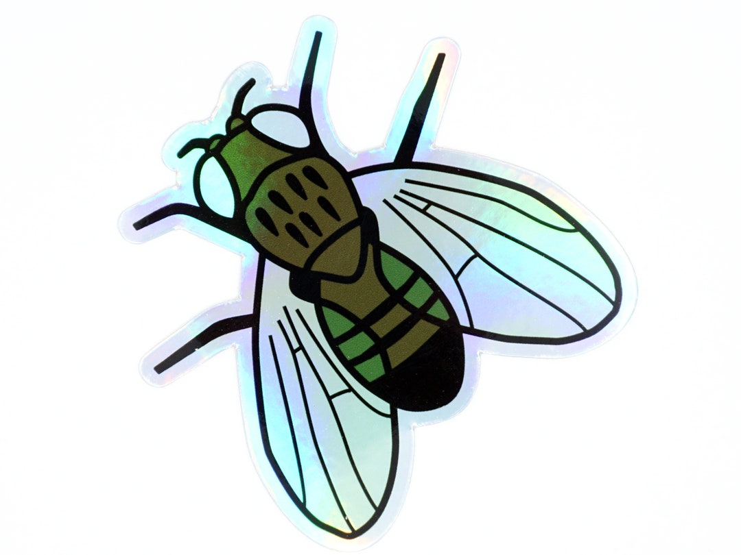 Fruit Fly Holo Sticker -- Ebony Drosophila Melanogaster – Science ...