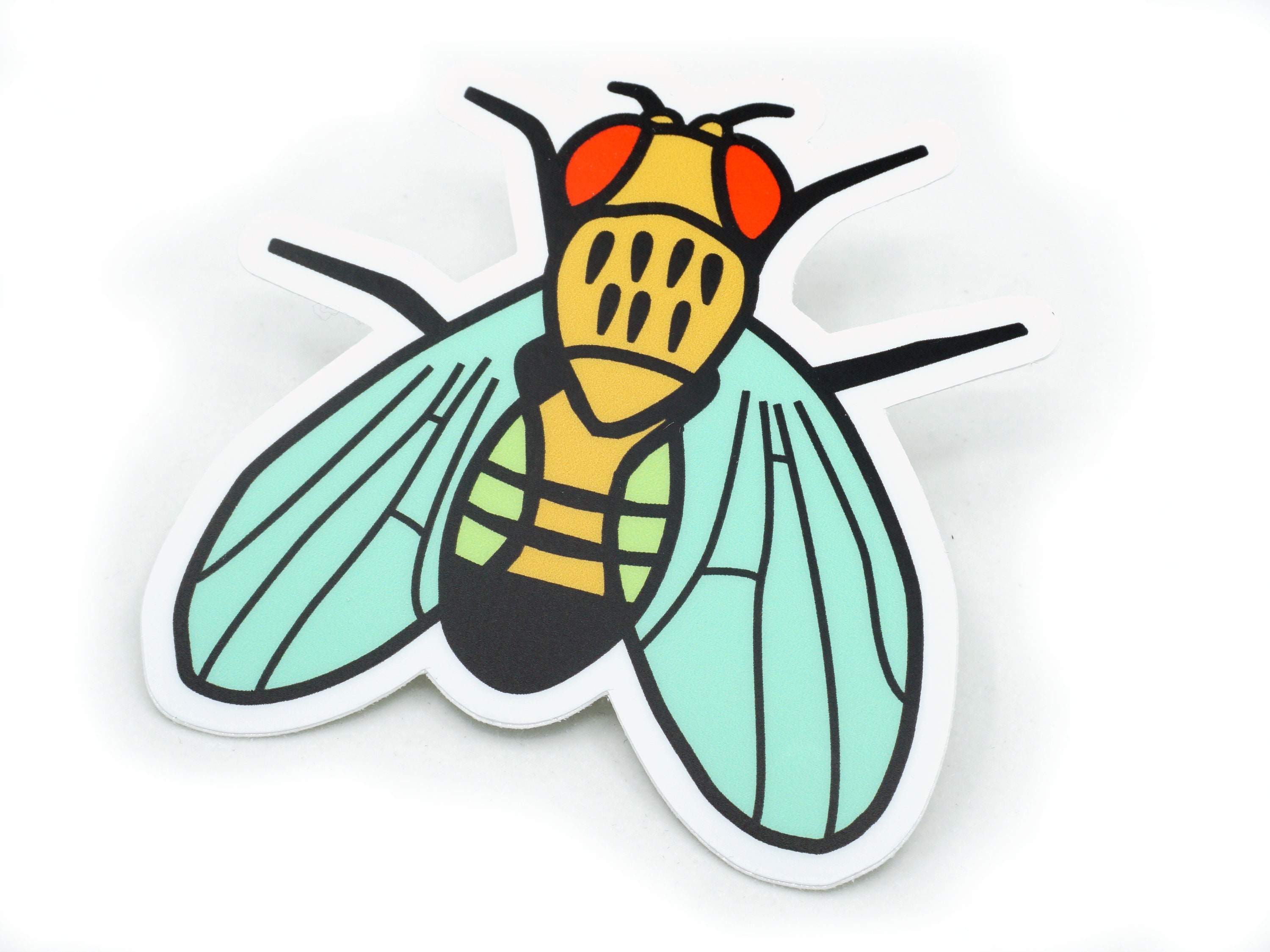 Fruit Fly Vinyl Sticker Wild Type Drosophila Melanogaster Fruit Fly Vinyl Sticker Wild Type Drosophila Melanogaster