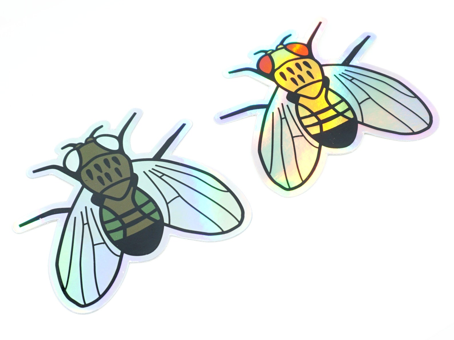 Fruit Fly Holo Stickers Drosophila Melanogaster Set of 2 - Etsy