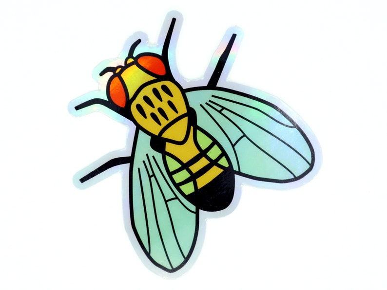 Fruit Fly Holo Stickers Drosophila Melanogaster Set of 2 - Etsy