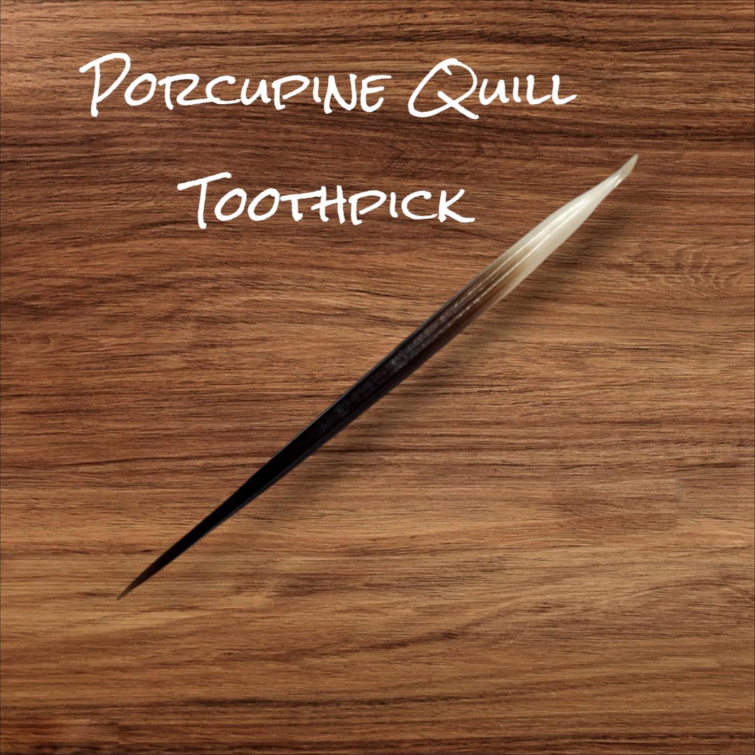 Genuine Porcupine Quill Cowboy Toothpick Small - Etsy