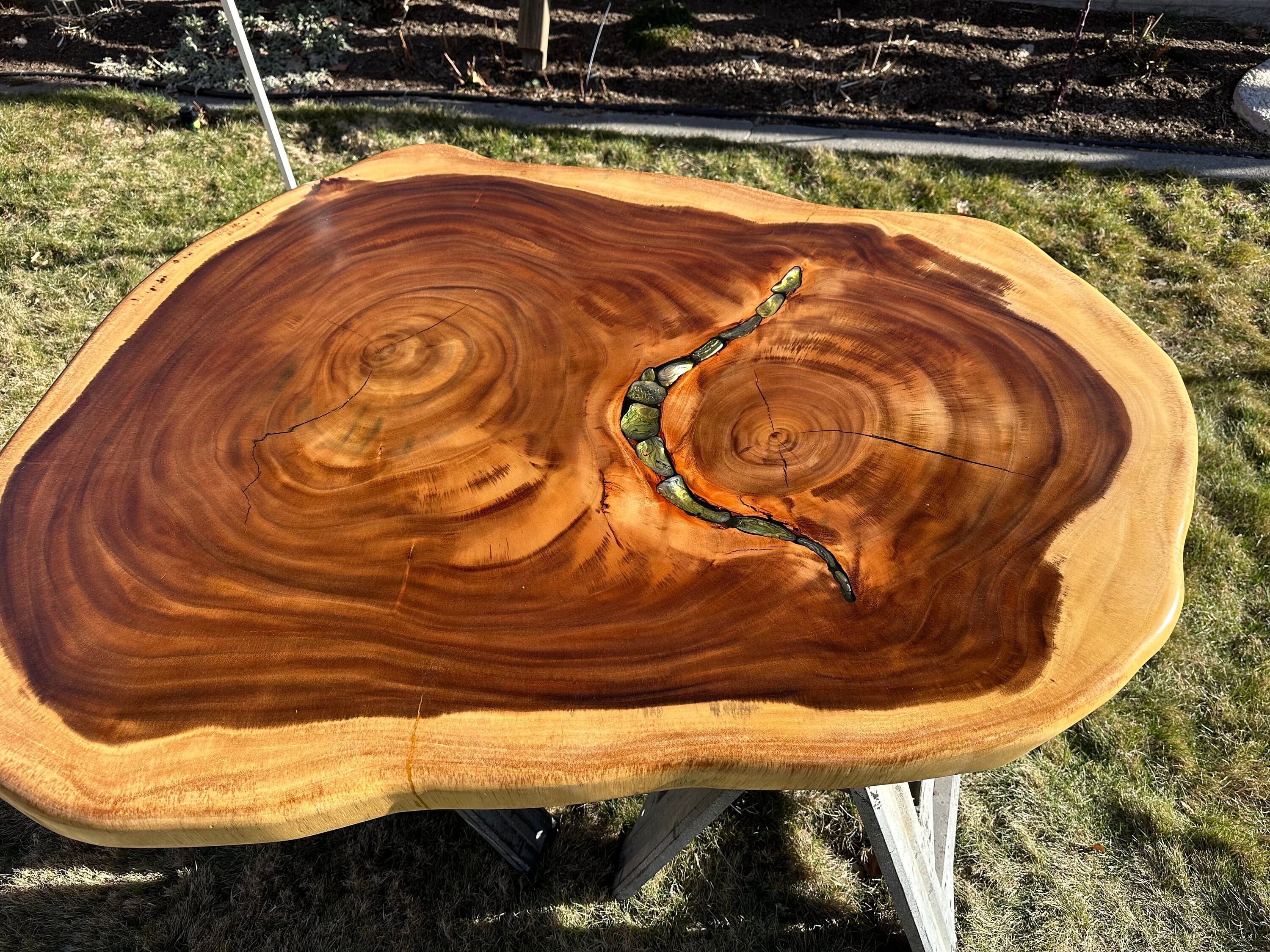 Monkey Pod Slab With Inlaid Abalone Shards - Etsy