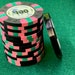 High Roller Poker Card Protector – Custom Chip Style Guard | Casino ...